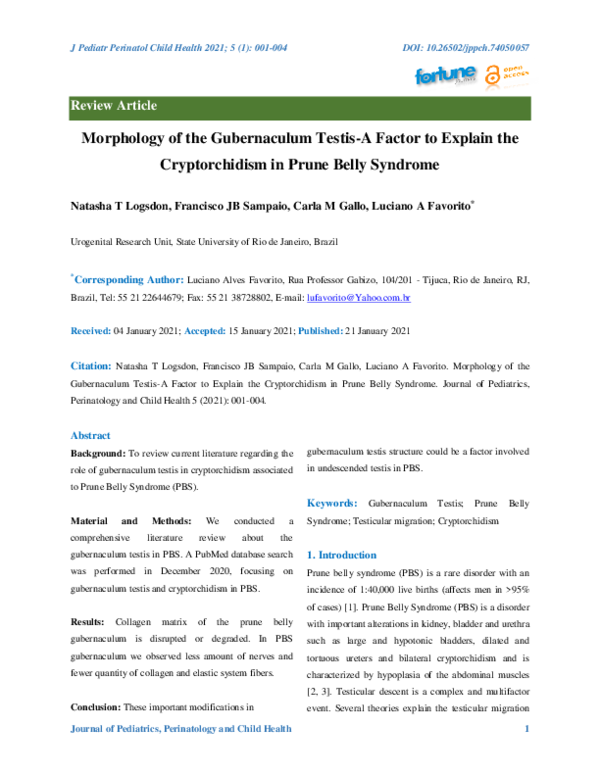 (PDF) Morphology of the Gubernaculum Testis-A Factor to Explain the ...