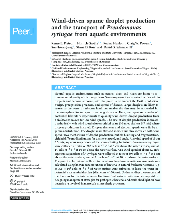 (PDF) Wind-driven spume droplet production and the transport of ...