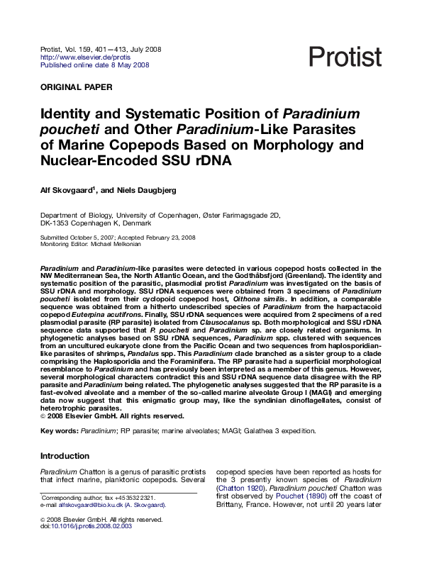 (PDF) Identity and systematic position of Paradinium poucheti and other ...
