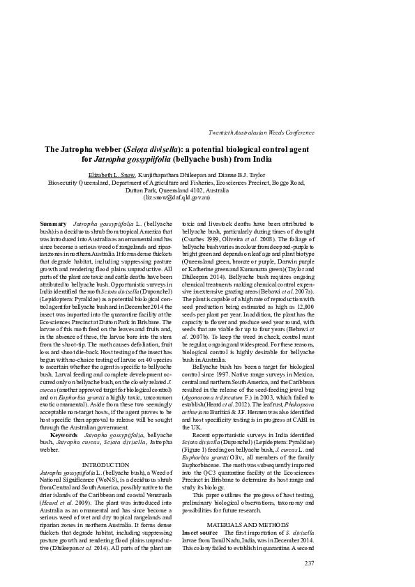 (PDF) The Jatropha webber (Sciota divisella): a potential biological ...