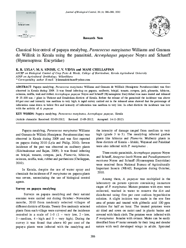 (PDF) Classical Biocontrol of Papaya Mealybug, Paracoccus marginatus ...
