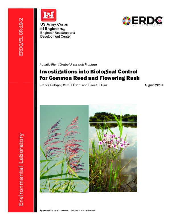 (PDF) Investigations into biological control for common reed and ...
