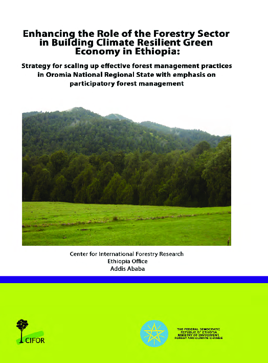 (PDF) Enhancing the Role of the Forestry Sector in Building Climate ...