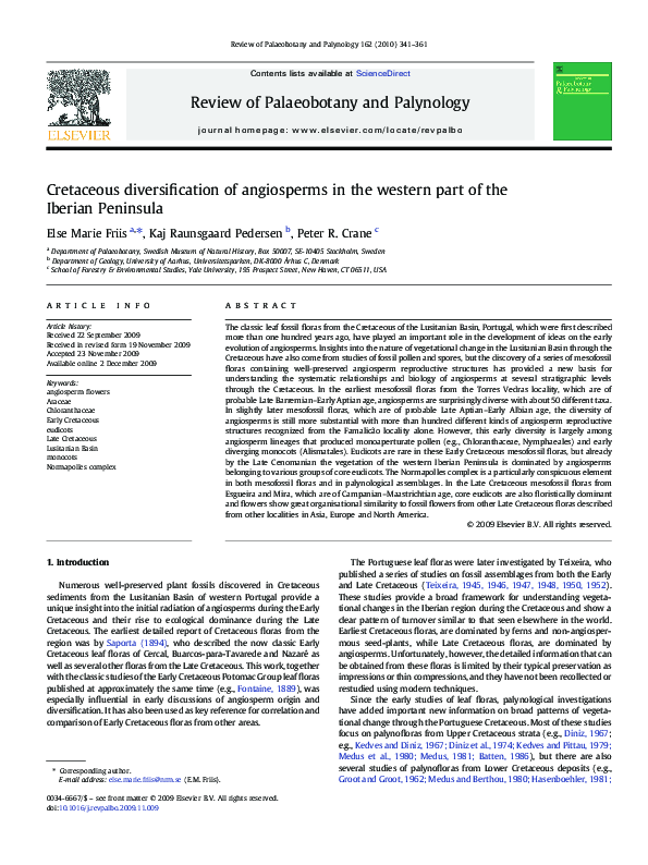 (PDF) Cretaceous diversification of angiosperms in the western part of ...