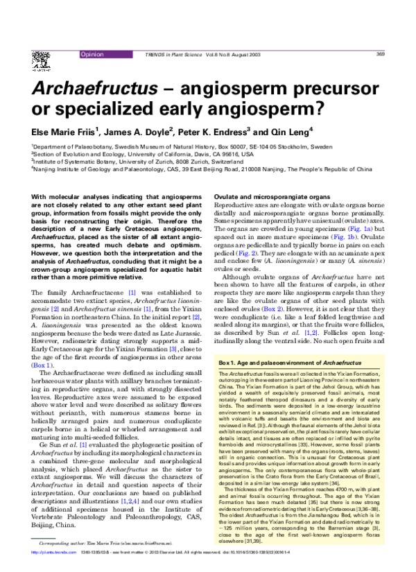 (PDF) Archaefructus - Angiosperm precursor or specialized early angiosperm?