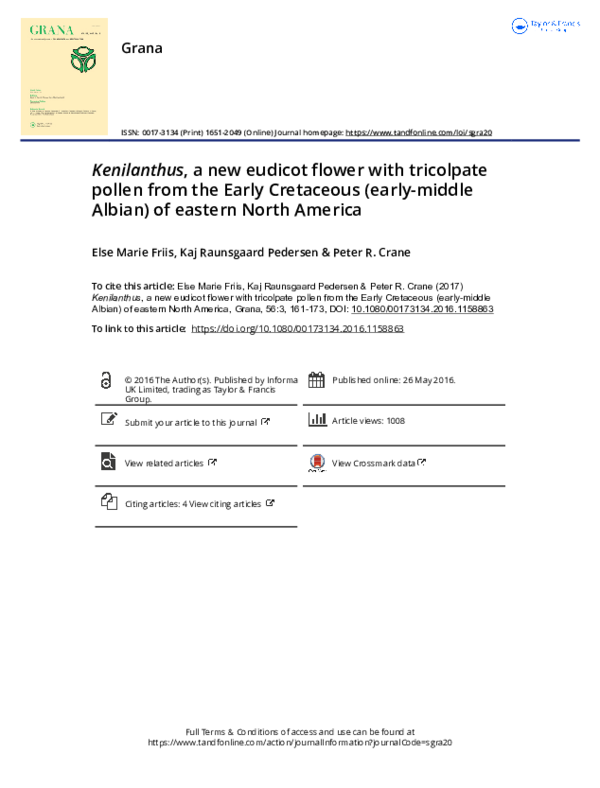 (PDF) Kenilanthus, a new eudicot flower with tricolpate pollen from the ...