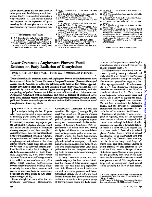 (PDF) Lower Cretaceous Angiosperm Flowers: Fossil Evidence on Early ...