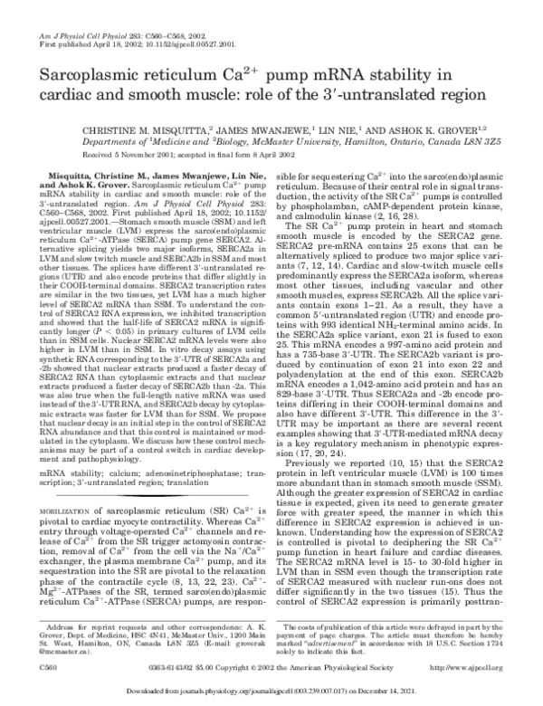 (PDF) Sarcoplasmic reticulum Ca2+ pump mRNA stability in cardiac and ...