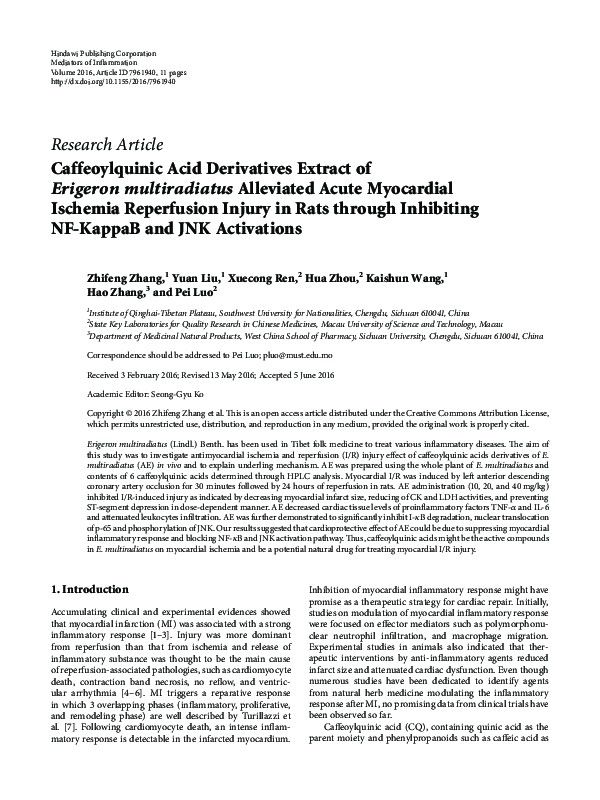 (PDF) Is Digital Different? How Information Creation, Capture ...