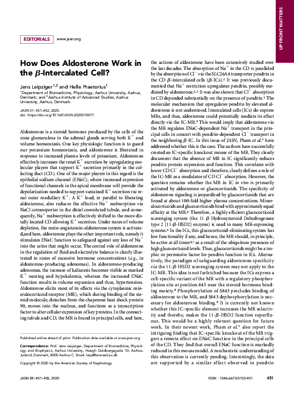 (PDF) How Does Aldosterone Work in the β-Intercalated Cell?