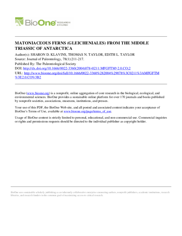 (PDF) Matoniaceous Ferns (Gleicheniales) from the Middle Triassic of ...