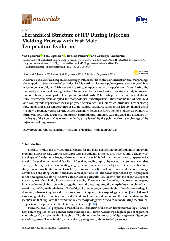 (PDF) Hierarchical Structure of iPP During Injection Molding Process ...