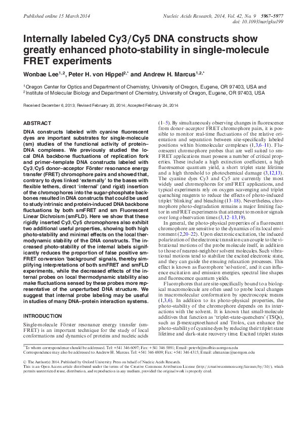 (PDF) Internally labeled Cy3/Cy5 DNA constructs show greatly enhanced photo-stability in single ...