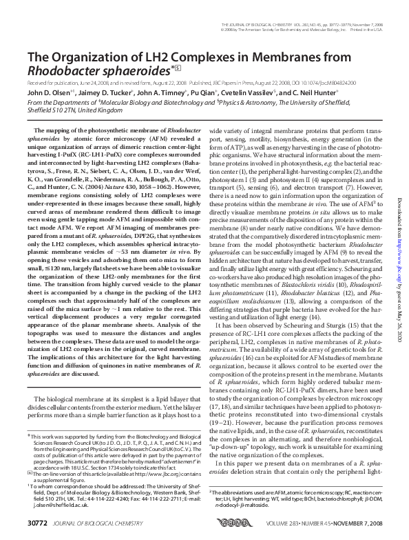 (PDF) The Organization of LH2 Complexes in Membranes from Rhodobacter ...