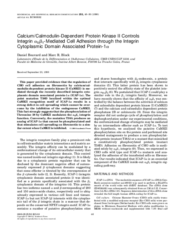 (PDF) Calcium/Calmodulin-Dependent Protein Kinase II Controls Integrin α5β1-Mediated Cell ...