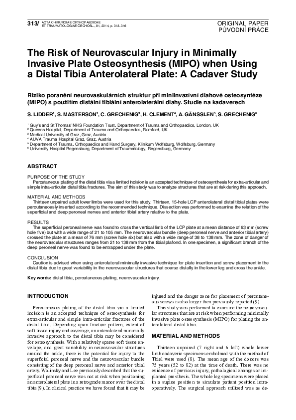 (PDF) The risk of neurovascular injury in minimally invasive plate ...