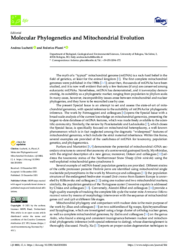 (PDF) Molecular Phylogenetics and Mitochondrial Evolution