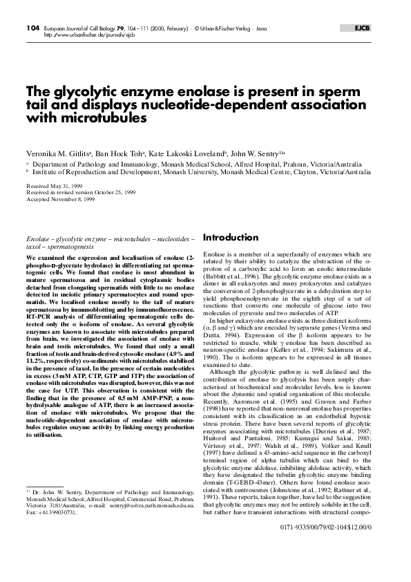 (PDF) The glycolytic enzyme enolase is present in sperm tail and ...