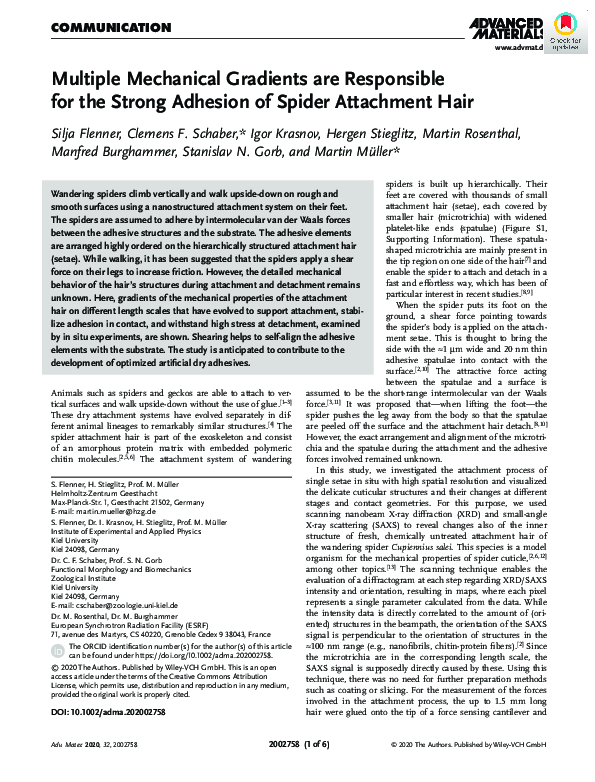 (PDF) Mechanical Gradients in Spider Adhesion
