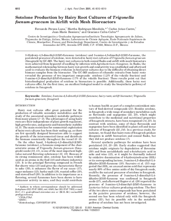 (PDF) Sotolone Production by Hairy Root Cultures of Trigonella foenum ...