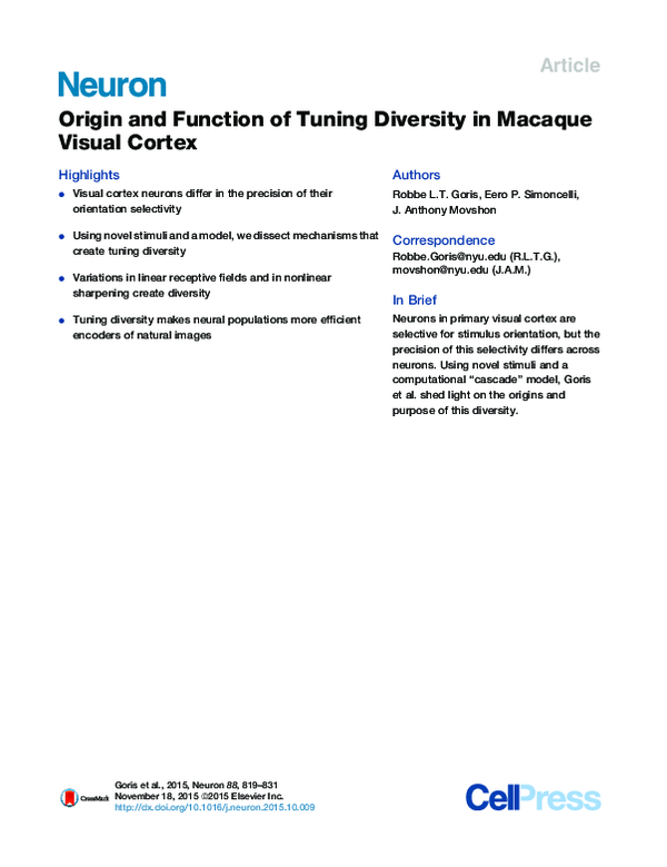 Pdf Origin And Function Of Tuning Diversity In Macaque Visual Cortex