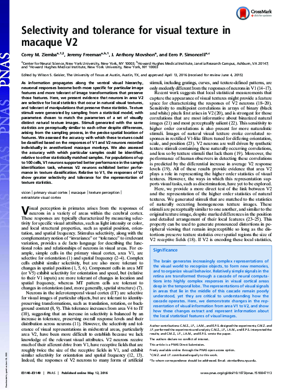 (PDF) Selectivity and tolerance for visual texture in macaque V2