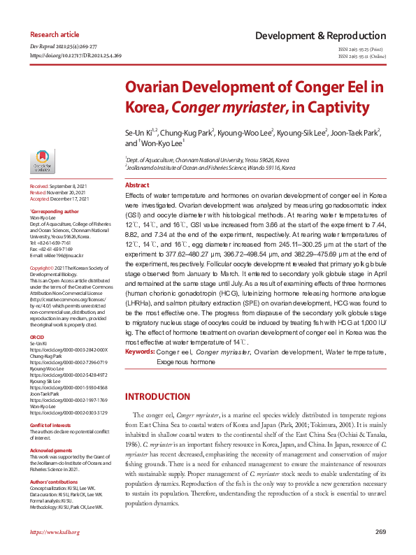 (PDF) Ovarian Development of Conger Eel in Korea, Conger myriaster, in ...