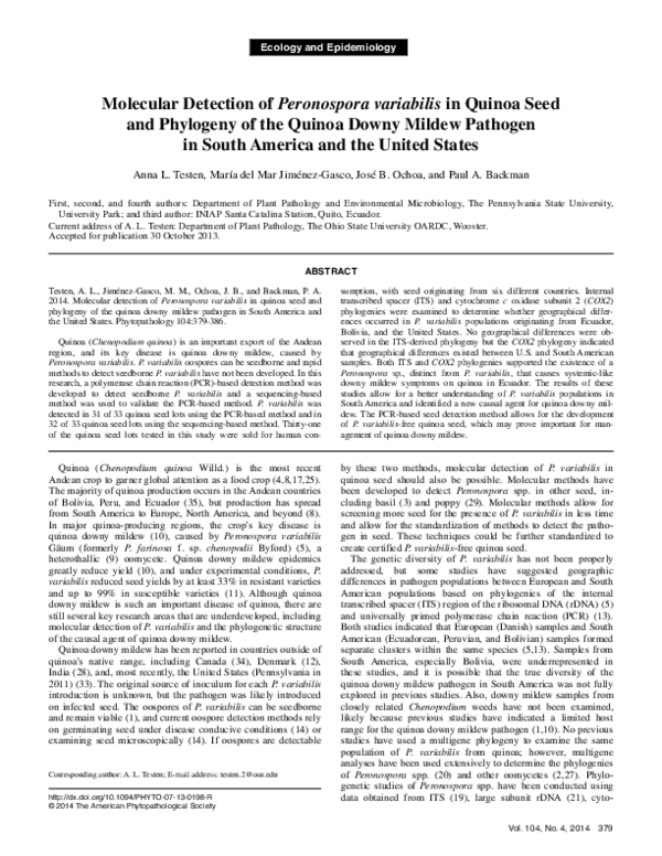 (PDF) Molecular Detection of Peronospora variabilis in Quinoa Seed and ...
