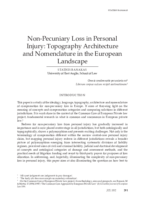 (PDF) Non-Pecuniary Loss in Personal Injury: Topography Architecture ...