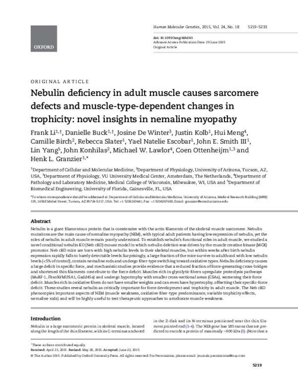 (PDF) Nebulin deficiency in adult muscle causes sarcomere defects and ...