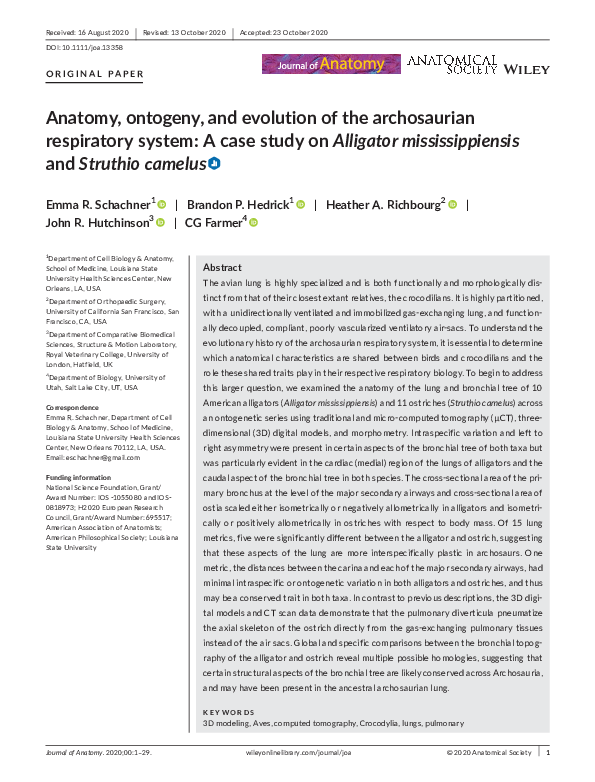 (PDF) Anatomy, ontogeny, and evolution of the archosaurian respiratory ...