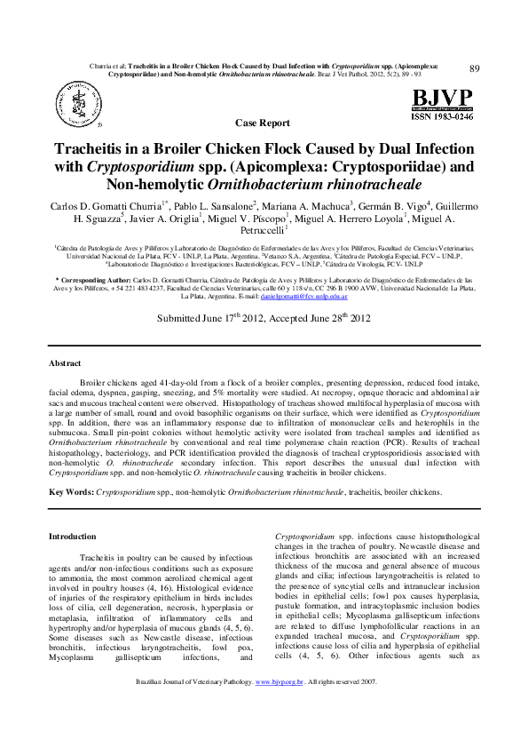 (PDF) Tracheitis in a Broiler Chicken Flock Caused by Dual Infection ...