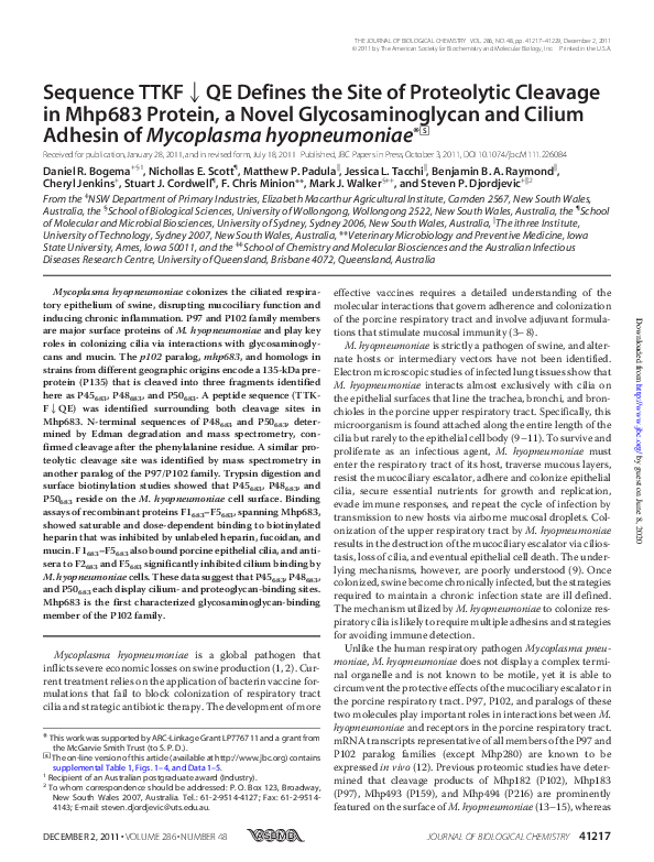 (PDF) Sequence TTKF QE Defines the Site of Proteolytic Cleavage in ...