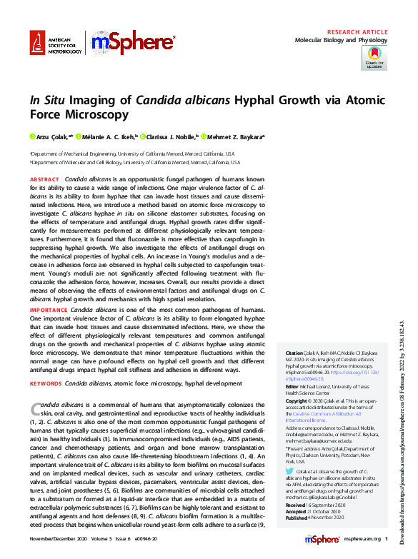 (PDF) In Situ Imaging of Candida albicans Hyphal Growth via Atomic ...