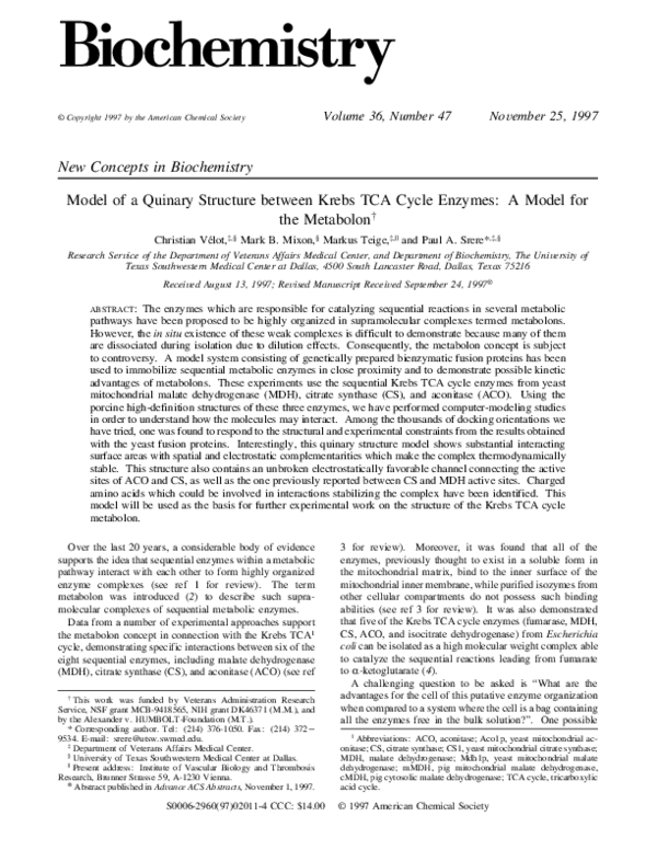 (PDF) Model of a Quinary Structure between Krebs TCA Cycle Enzymes: A ...