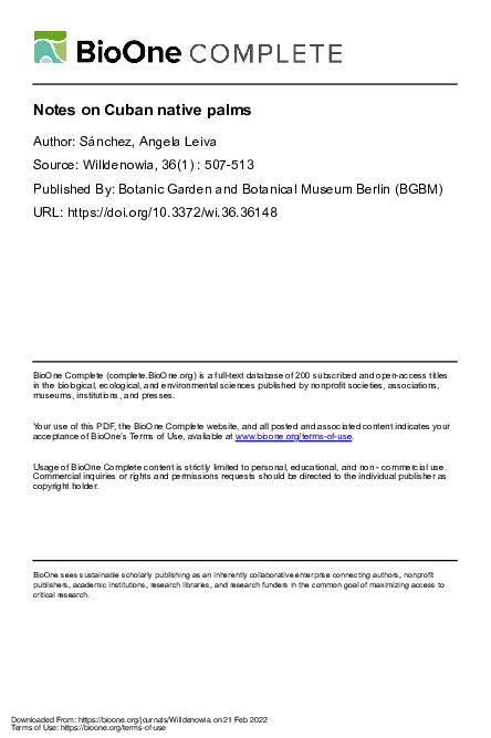 (PDF) Notes on Cuban native palms