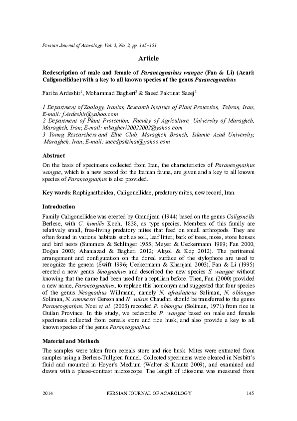 (PDF) Article Redescription of male and female of Paraneognathus wangae ...