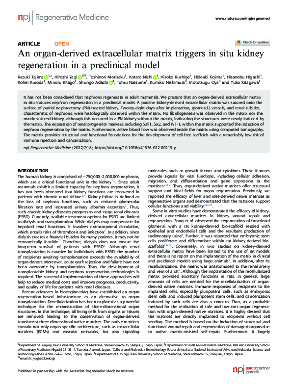 (PDF) An organ-derived extracellular matrix triggers in situ kidney ...