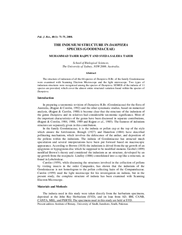 (PDF) The Indusium Structure in Dampiera Species (Goodeniaceae)