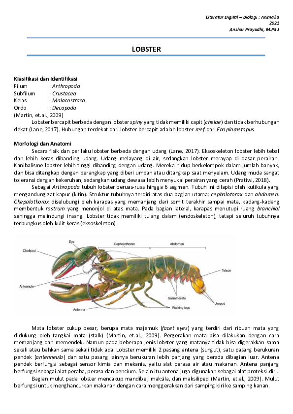 (PDF) Lobster