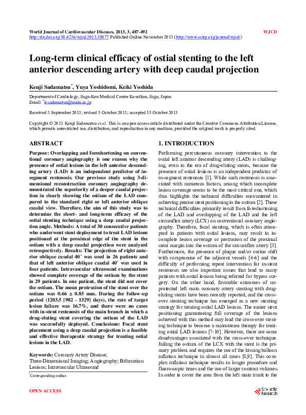 (PDF) Long-term clinical efficacy of ostial stenting to the left ...