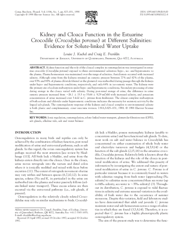 (PDF) Kidney and Cloaca Function in the Estuarine Crocodile (Crocodylus ...