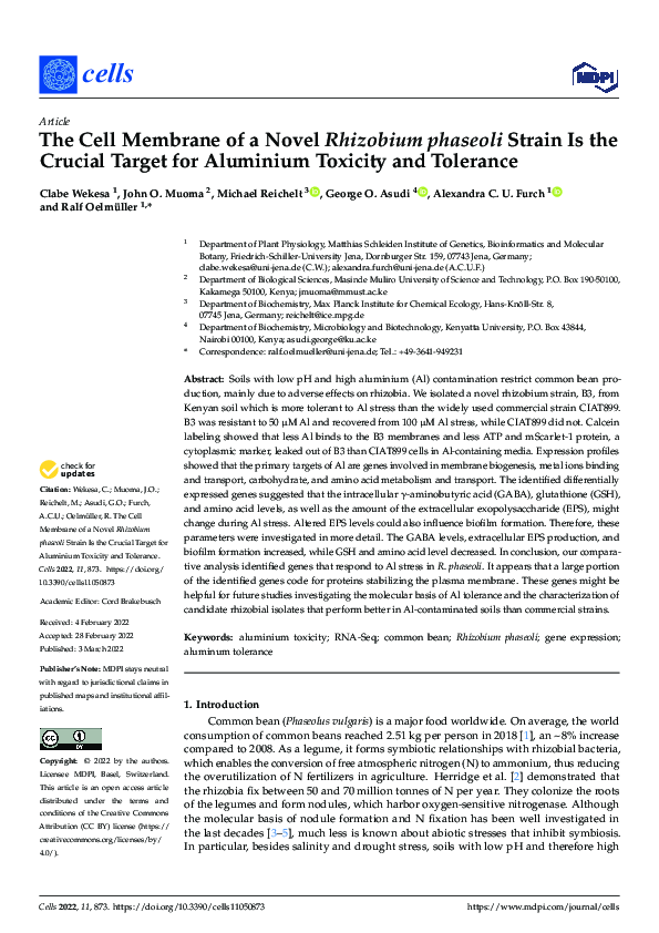 (PDF) The Cell Membrane of a Novel Rhizobium phaseoli Strain Is the ...