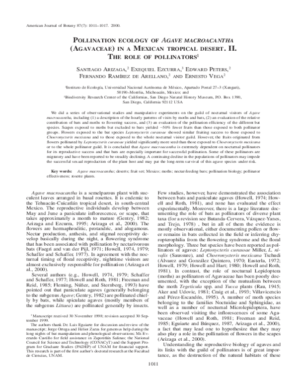 (PDF) Pollination ecology of Agave macroacantha (Agavaceae) in a ...