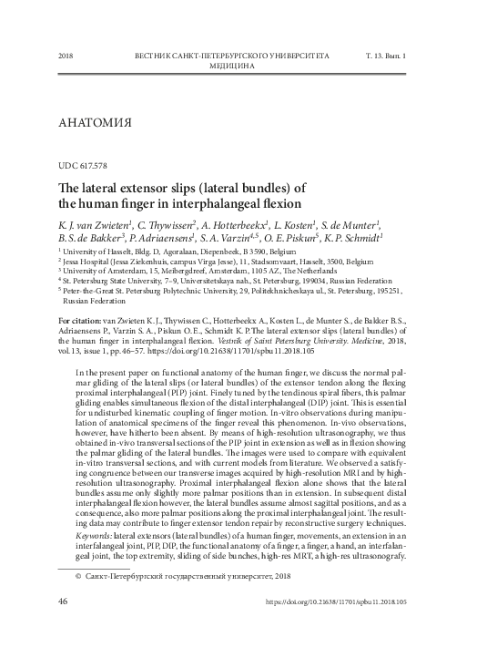 (PDF) The lateral extensor slips (lateral bundles) of the human finger ...