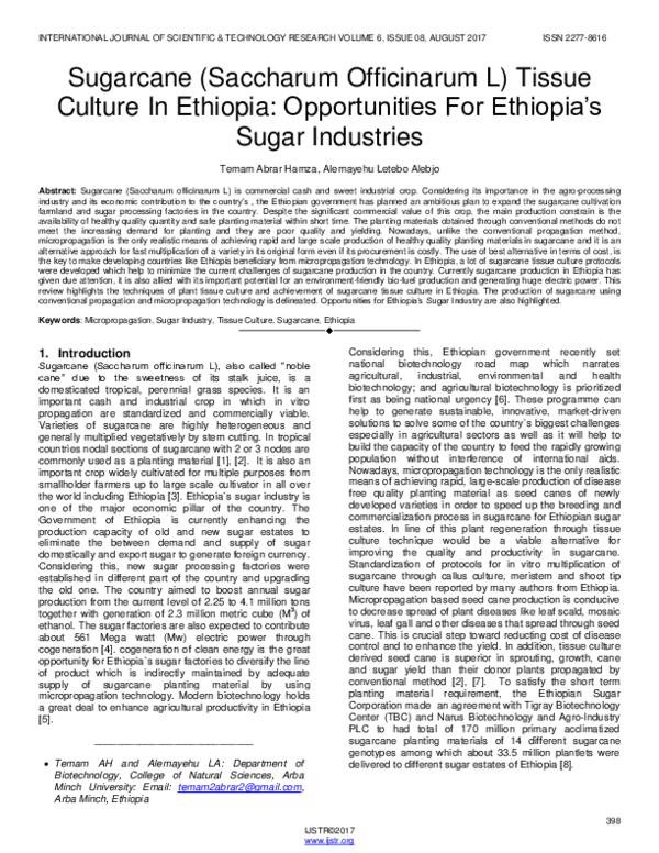(PDF) Sugarcane (Saccharum Officinarum L) Tissue Culture In Ethiopia ...