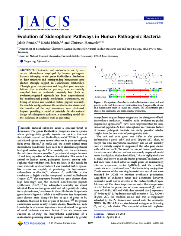 (PDF) Evolution of Siderophore Pathways in Human Pathogenic Bacteria
