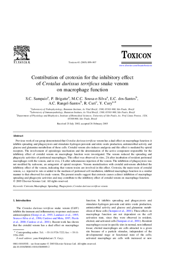 (PDF) Contribution of crotoxin for the inhibitory effect of Crotalus ...
