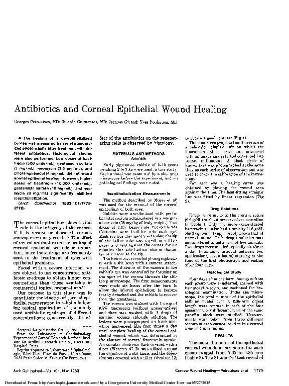 (PDF) Antibiotics and Corneal Epithelial Wound Healing