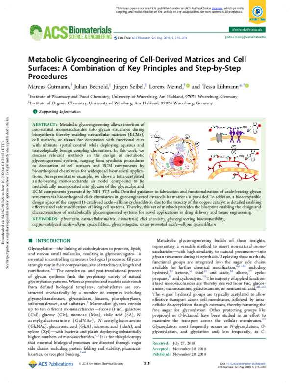 (PDF) Metabolic glycoengineering of cell derived matrices and cell ...